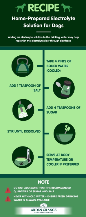 Easy recipe for homemade electrolyte solution for dogs | Arden Grange