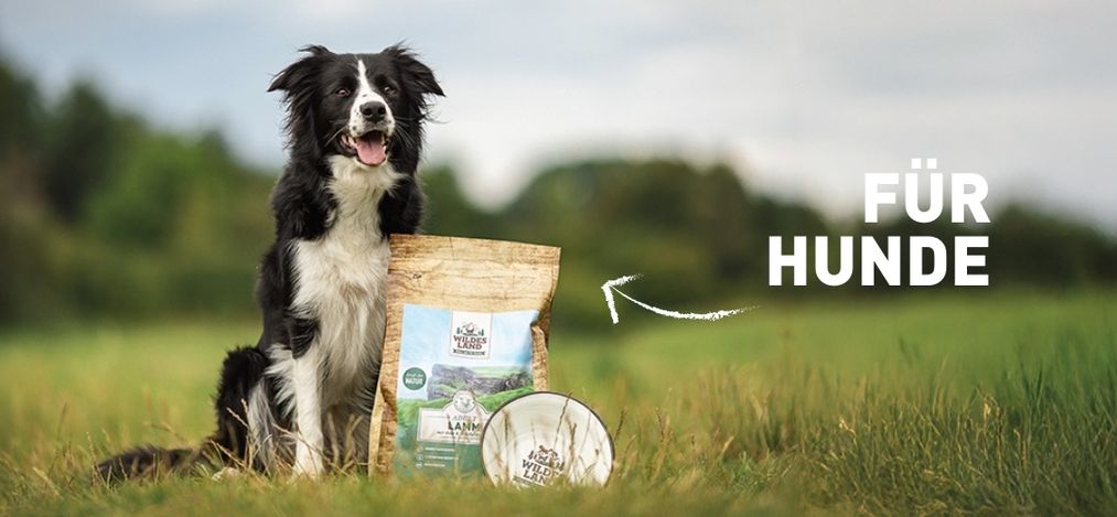 Wildes Land | Hochwertiges Hundefutter und Katzenfutter